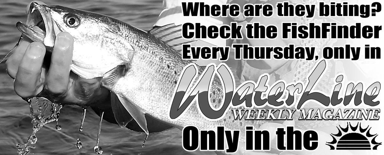 The McWeiner scandals | News Archives | yoursun.com