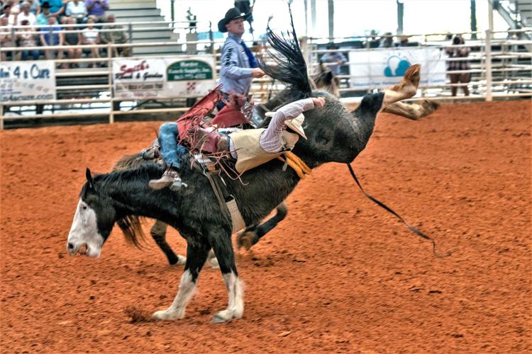 Back in the saddle | News | yoursun.com