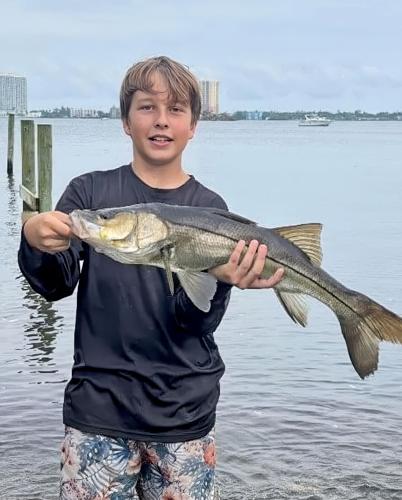 Reader photos | Waterline | yoursun.com