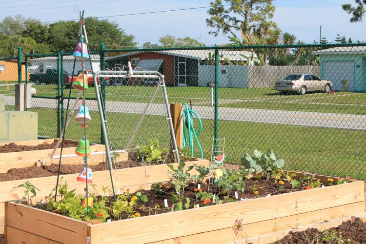 Troop 37 adds new scouts, new adventures | News Archives | yoursun.com