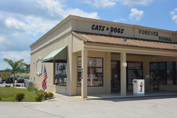 Cats n Dogs to host non-anesthesia dental cleaning clinic for dogs ...