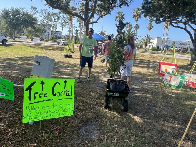 People grab trees at the People for Trees fair | News | yoursun.com