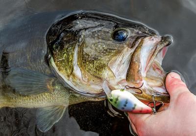 Just the way I like it: Customizing your crankbaits can help you catch ...