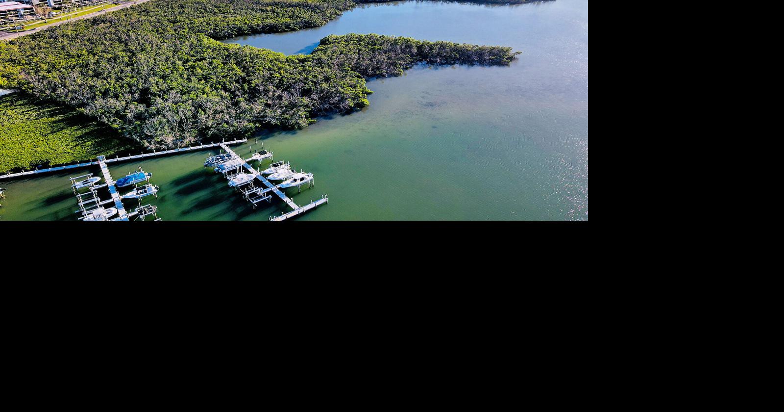 Mangrove parcel officially protected on Sandpiper Key | News | yoursun.com