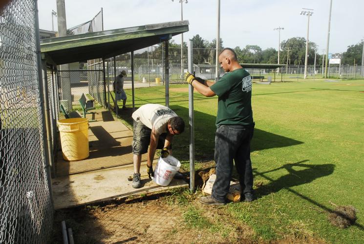 On the field | Newsarchives | yoursun.com