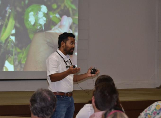 Officials, growers discuss mealybug | News | yoursun.com