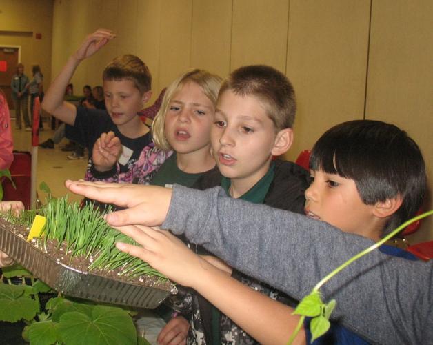 Students crop up at Agri-Fest | Newsarchives | yoursun.com