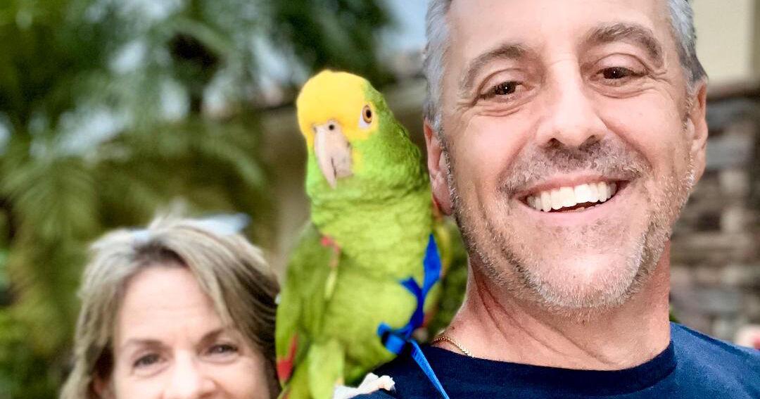 The local parrot superstar | News | yoursun.com