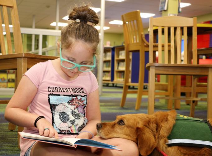 Dogs read to children as part of reading program | The Daily Sun ...