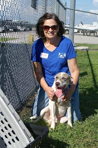 Englewood shelter takes in animals rescued from Louisiana flood | News ...