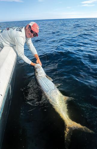 Tarpon season starts right now | Waterline | yoursun.com