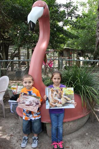 Octagon goes WILD over community support | News Archives | yoursun.com