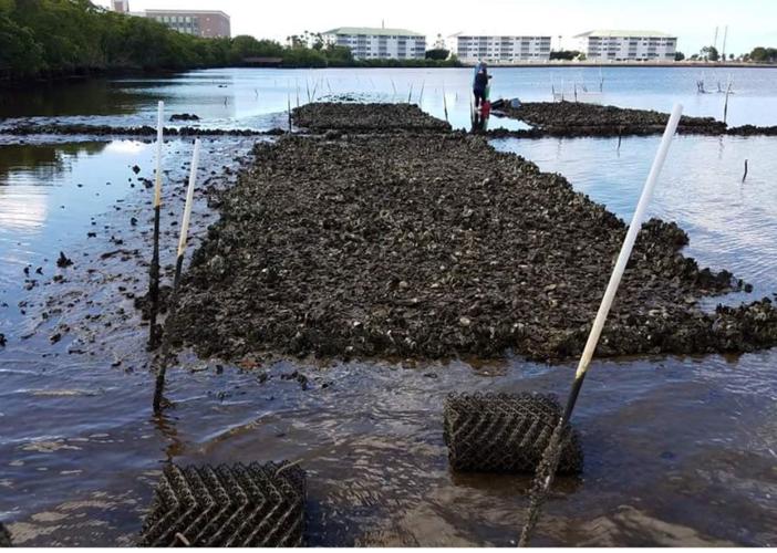 Local estuary protection program gets $75K grant from Florida DEP ...