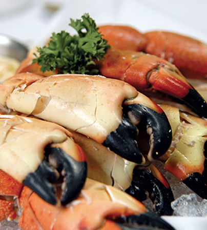 Slack Tides | Waterline | yoursun.com