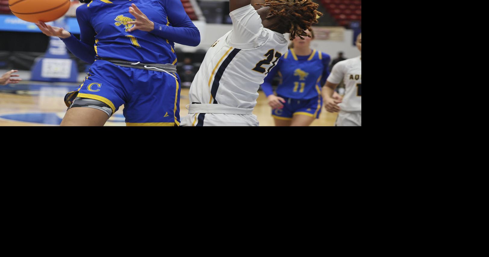 GIRLS BASKETBALL: The Sun Preps All-Area Girls Basketball Team | Sun ...