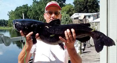 Catfishing, on purpose | Waterline | yoursun.com