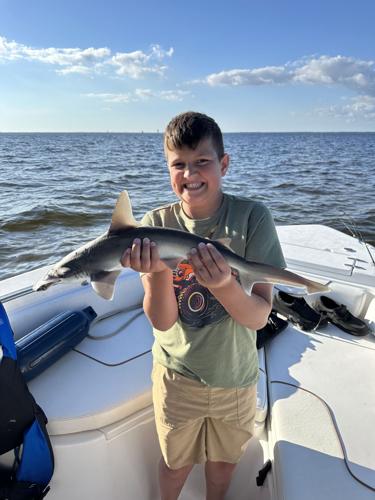 WATERLINE: WEEKLY PHOTOS - | Waterline | yoursun.com