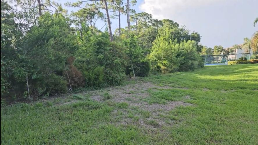 What is a microforest? North Port considers concept to help with local ...