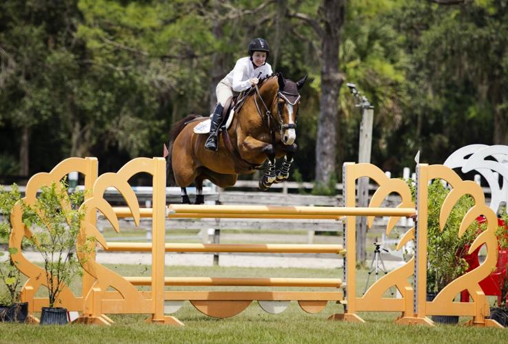 Sarasota County OKs help for Fox Lea Farms | | yoursun.com