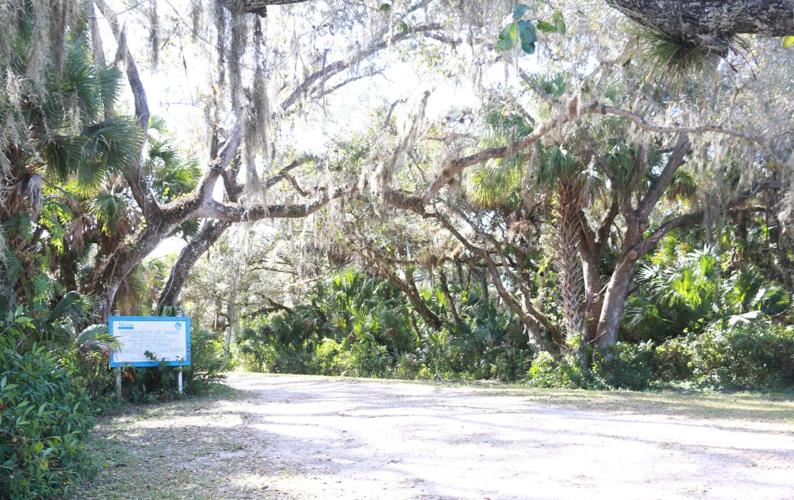 Students explore Little Salt Spring | News | yoursun.com