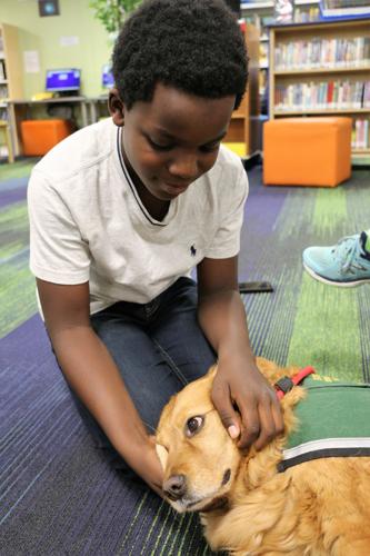 Dogs read to children as part of reading program | The Daily Sun ...