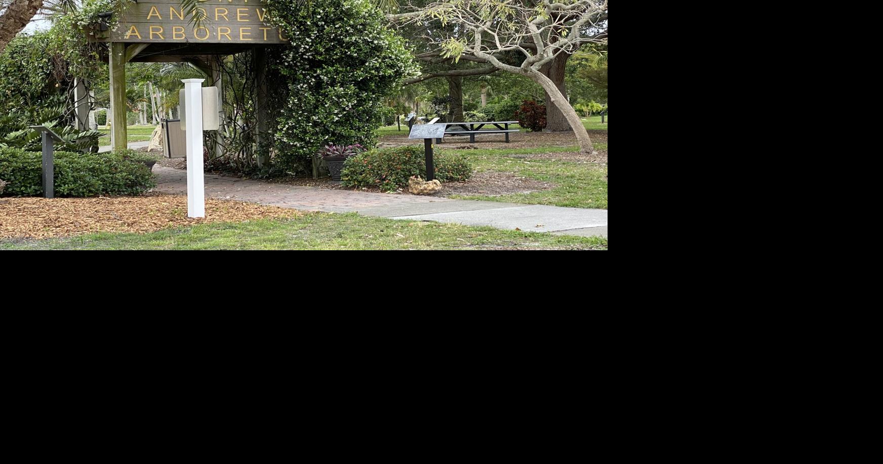 Venice holds Arbor Day event Jan. 19 | News | yoursun.com