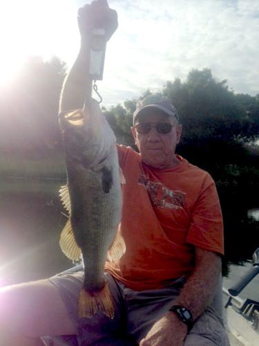 Big fish | Newsarchives | yoursun.com