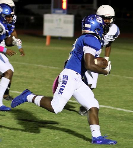 Blue Streaks blank Pioneers | Sebring | yoursun.com