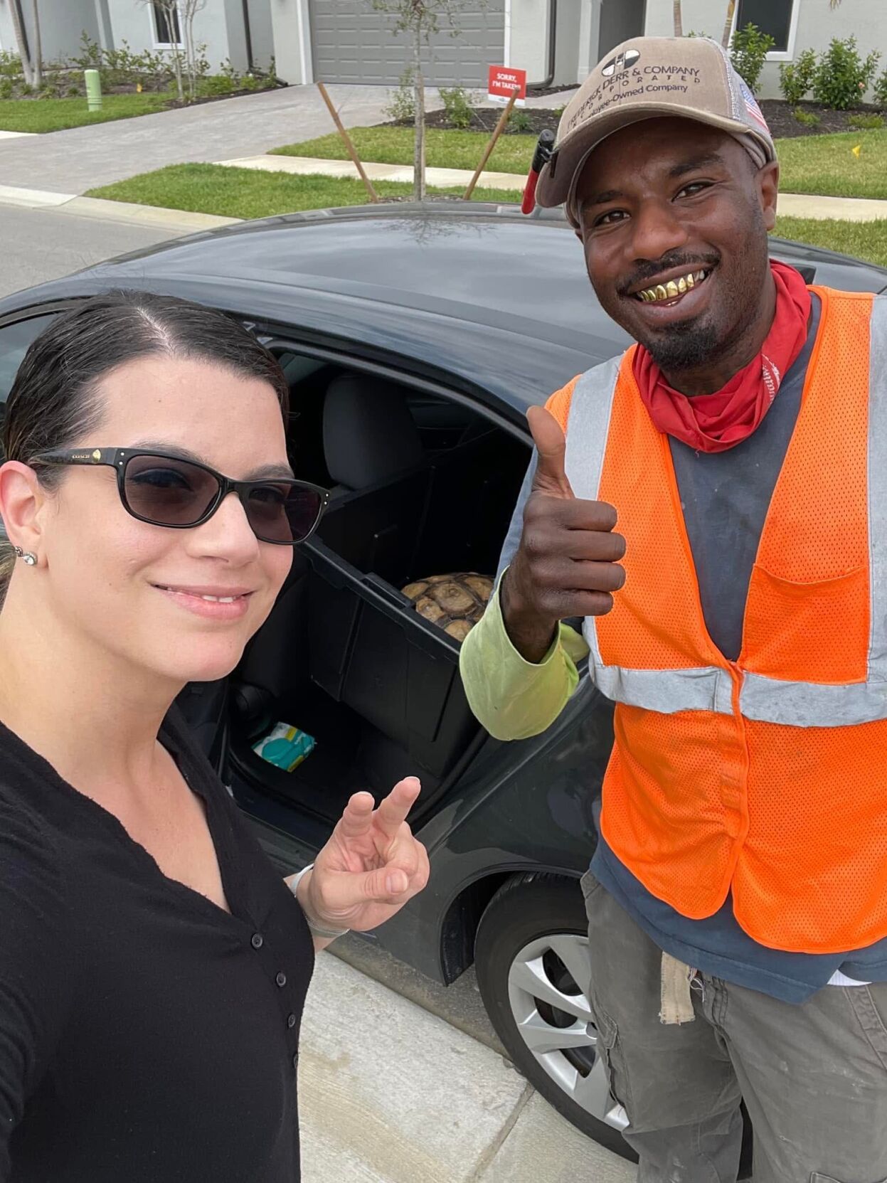NINJA COMES HOME: Runaway tortoise is back home safely | News | yoursun.com