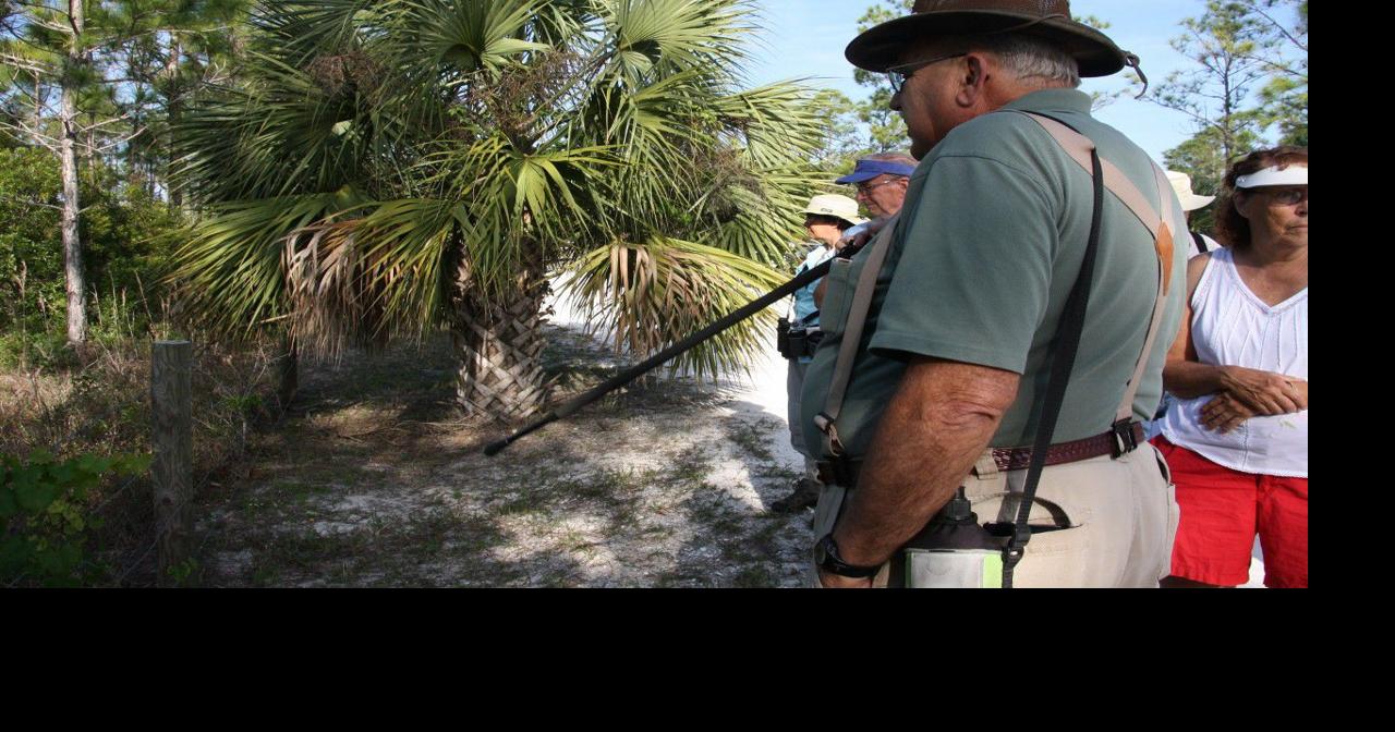 Nature walk sheds light on Florida plants | News Archives | yoursun.com