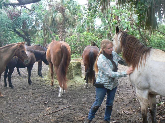 Bit of Hope needs bit of help | News | yoursun.com