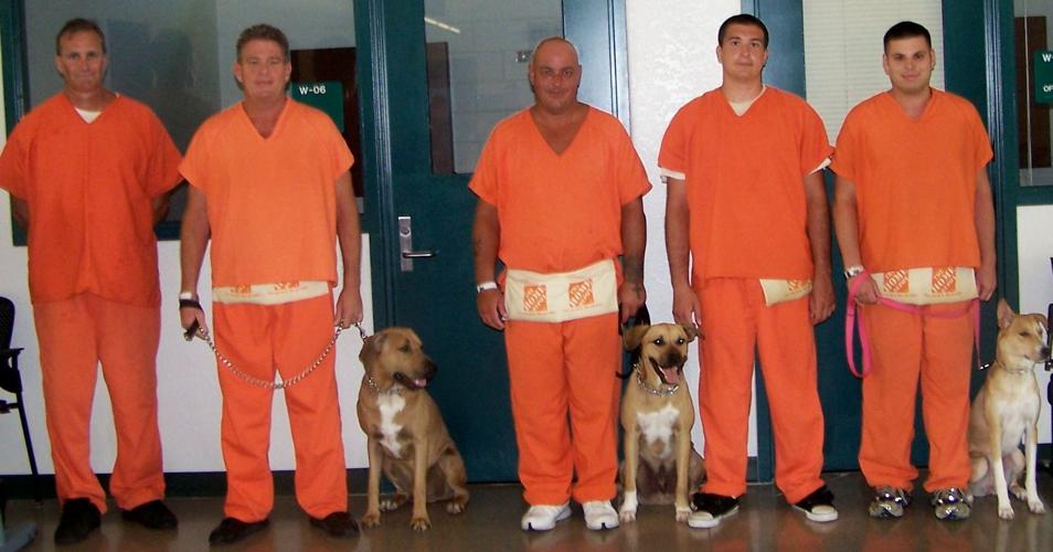 Cell dogs — changing lives, saving lives | News Archives | yoursun.com