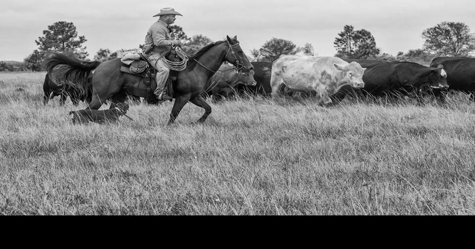 Ranch hands | | yoursun.com