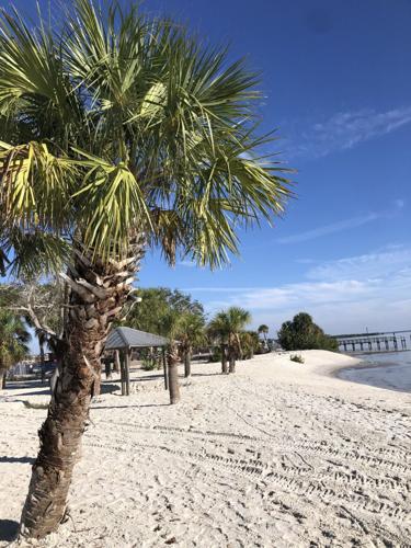 Back to the beach: Port Charlotte Beach reopens | Port Charlotte News ...