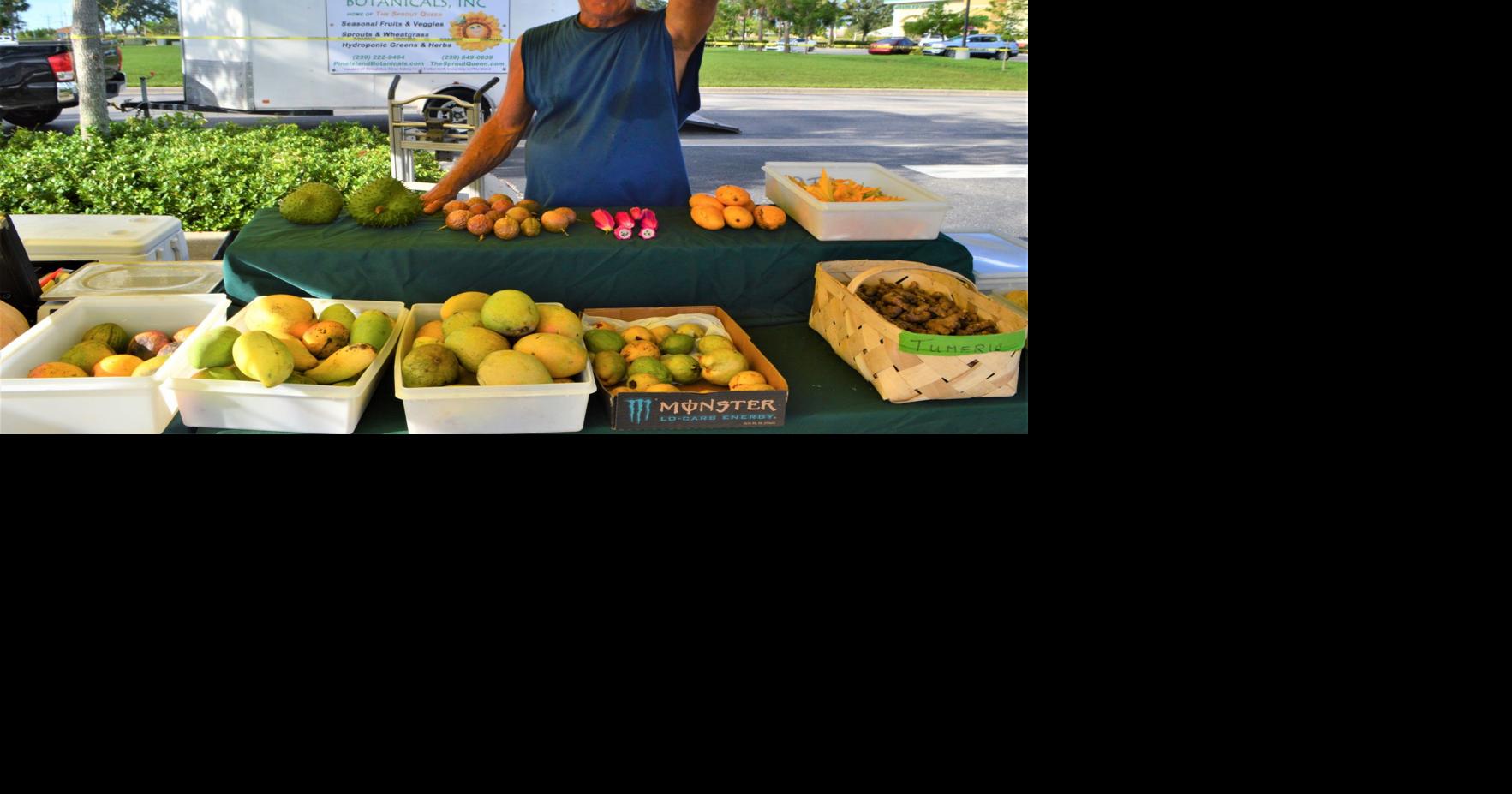 Meeting the locals at the Surfside Sunshine Market | Go! | yoursun.com