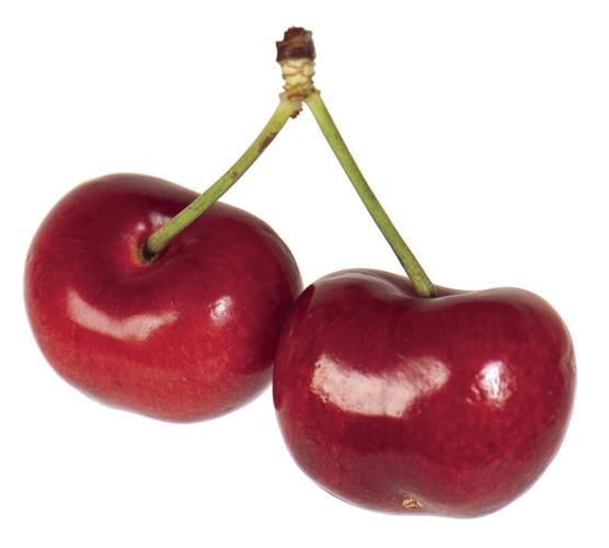 Cherry Lake Tree Farm | Newsarchives | yoursun.com