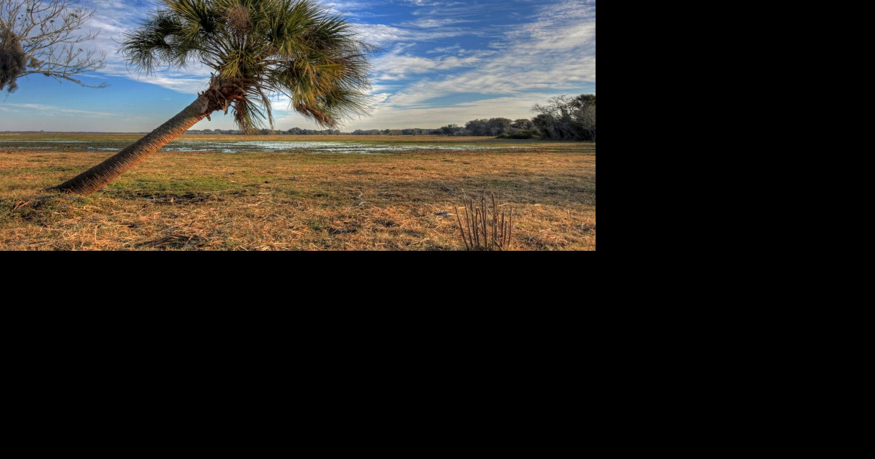 Saving sensitive land: 'We are in a race against time' | News | yoursun.com