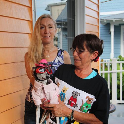AWL benefits from Dog’s Night Out | News Archives | yoursun.com