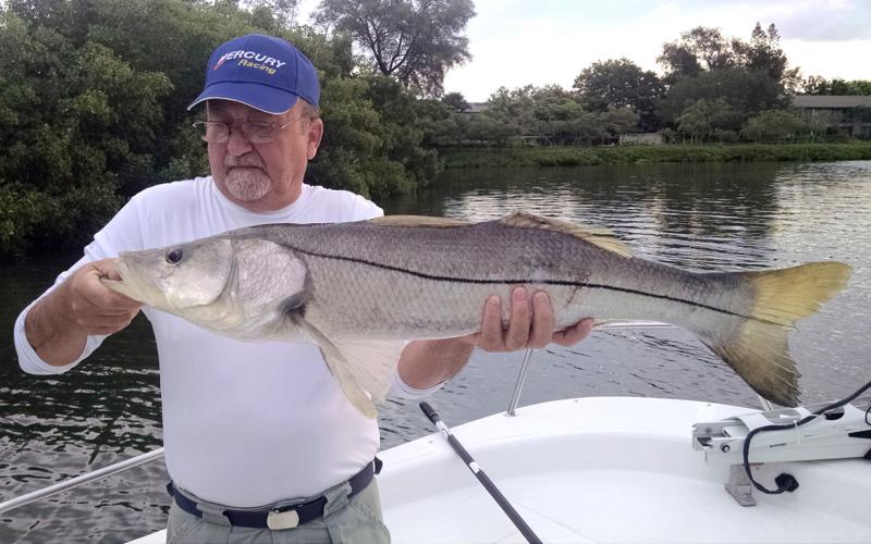Reader Photos | Waterline | yoursun.com