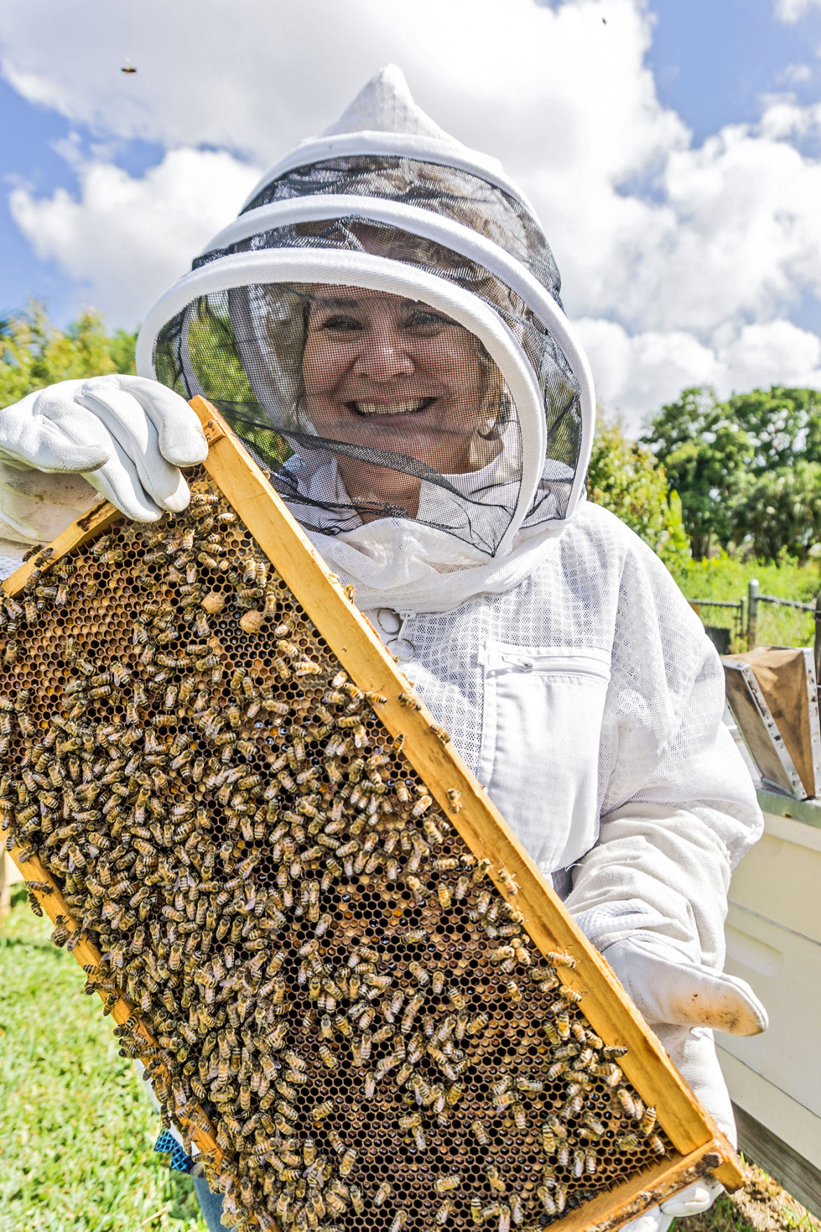 An un-bee-lievable birthday | Daily Break | yoursun.com