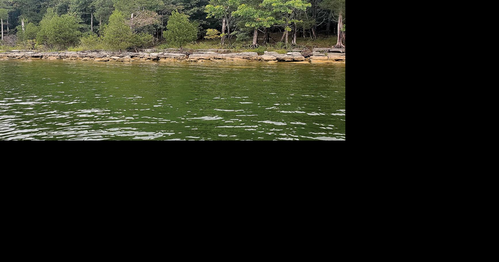 Fishing Percy Priest Lake | Waterline | yoursun.com