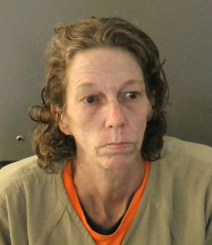 UPDATED: CCSO: Decomposing body is suspect's mother | News | yoursun.com