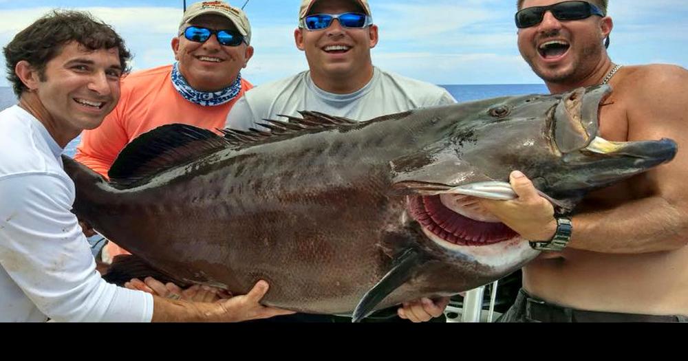 Ft. Myers angler reels in possible record grouper | Waterline | yoursun.com