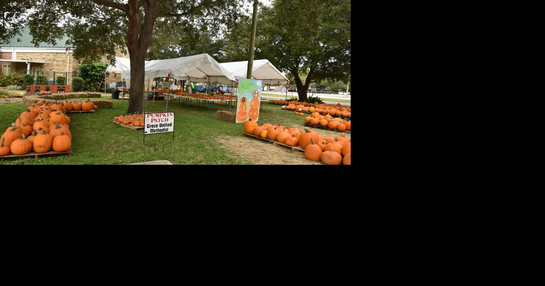 Pumpkin Patch time | News Archives | yoursun.com