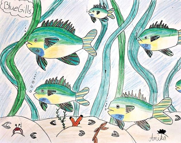 how to draw a cartoon fish for young artists