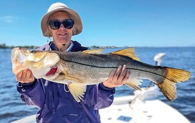 Secrets to snook fishing success | Waterline | yoursun.com