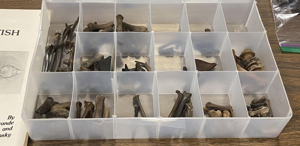 The club that rocks (and collects them, too) | News | yoursun.com