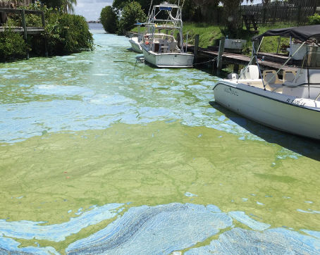 Slack Tides | Waterline | yoursun.com