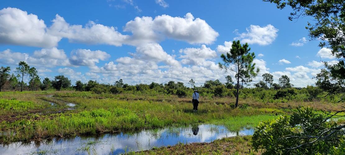 Saving sensitive land: 'We are in a race against time' | News | yoursun.com