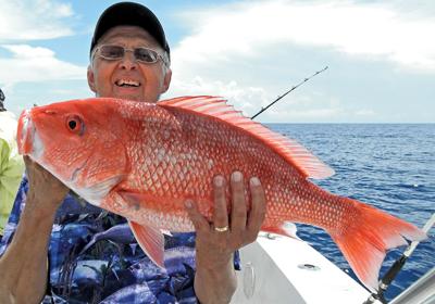 Mango salsa for your snapper | Waterline | yoursun.com